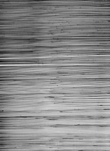 Life Span – Anne Petrie